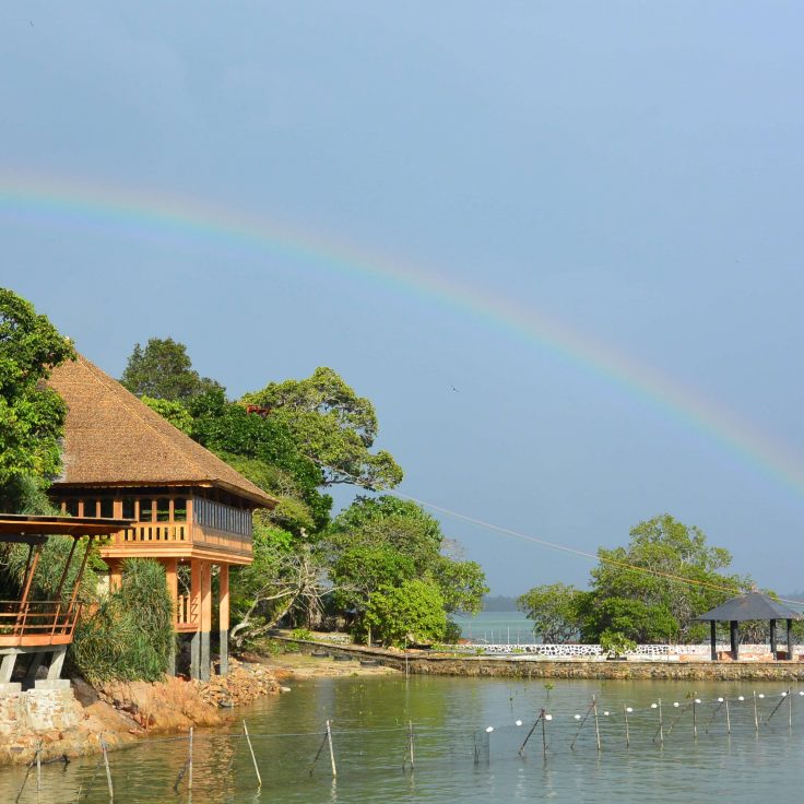 Home - LooLa Eco Adventure