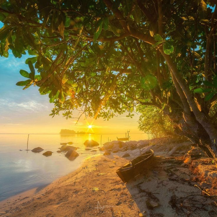 Summer Camps - LooLa Eco Adventure