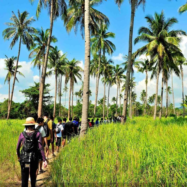 Home - LooLa Eco Adventure