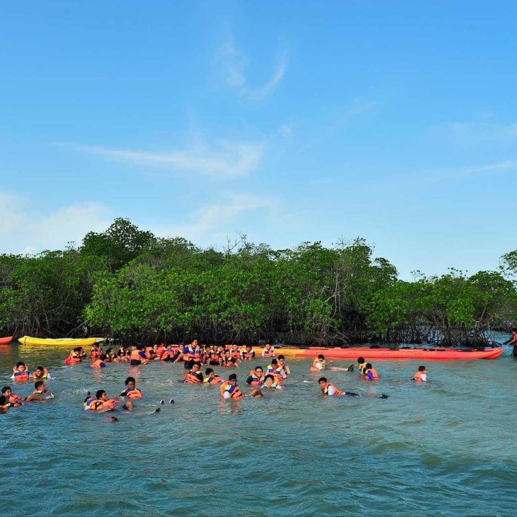 Home - LooLa Eco Adventure